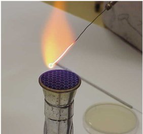 Lecture Notes | BIO Science Portal