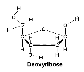 Deoxyribose Molecular Structure