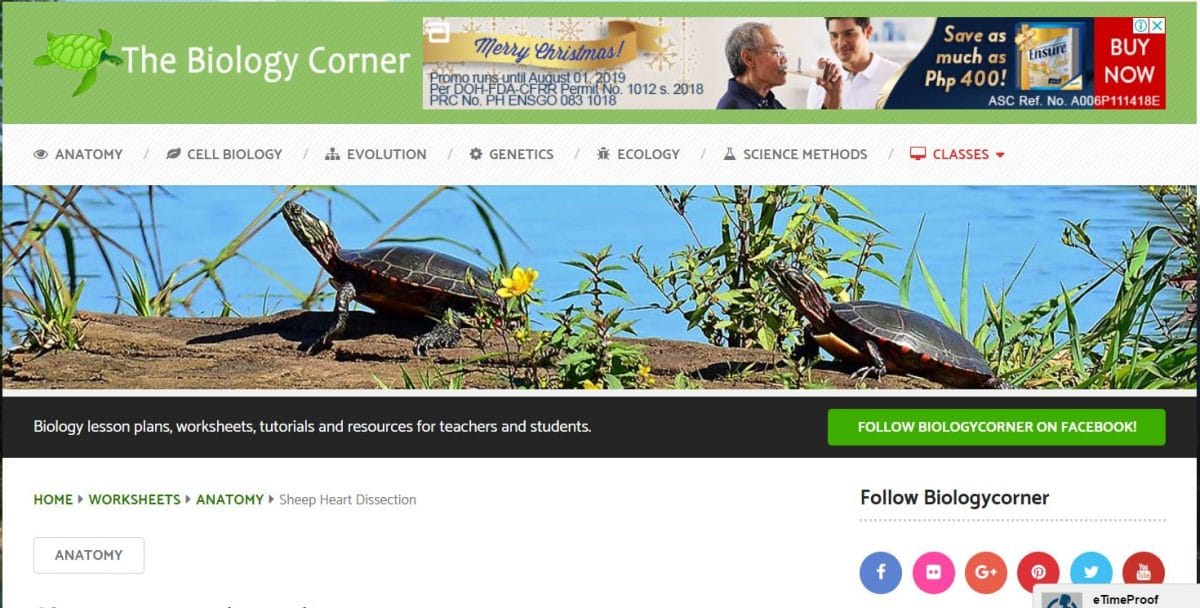 8 Lesson Plan Template Resources for Biology Teachers